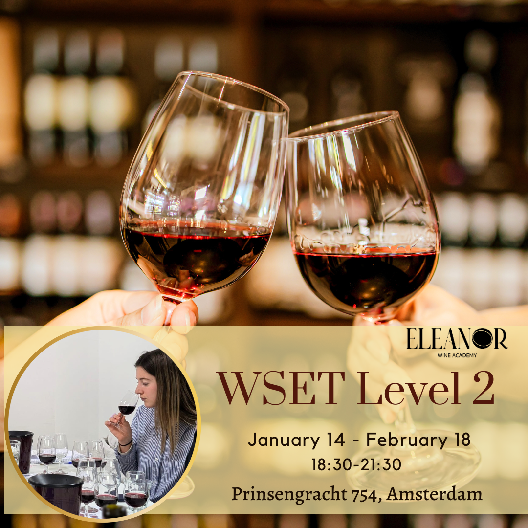Embark on a Global Wine Journey with WSET 2 at Eleanor Wine Academy in Amsterdam 🍷