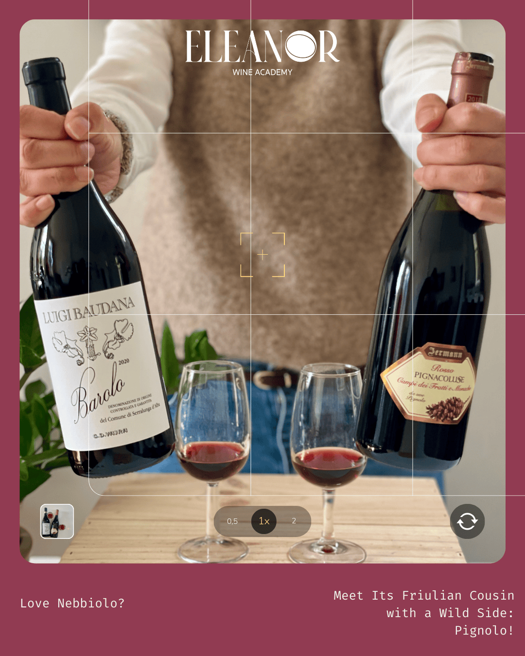 Love Nebbiolo? Discover Pignolo – Friuli’s Bold Native Grape 🍷 | Wine ...