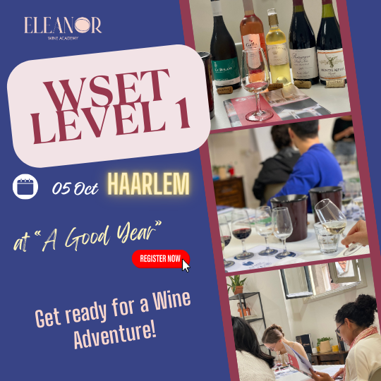 Discover the Art of Wine Tasting in Haarlem | WSET Level 1 Course at ...