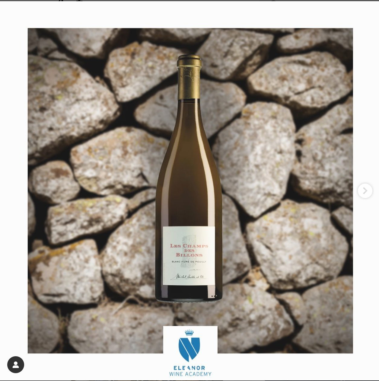 💎Hidden Gems💎 Michel Redde et Fils, Les Champs de Billons, Pouilly Fum ...