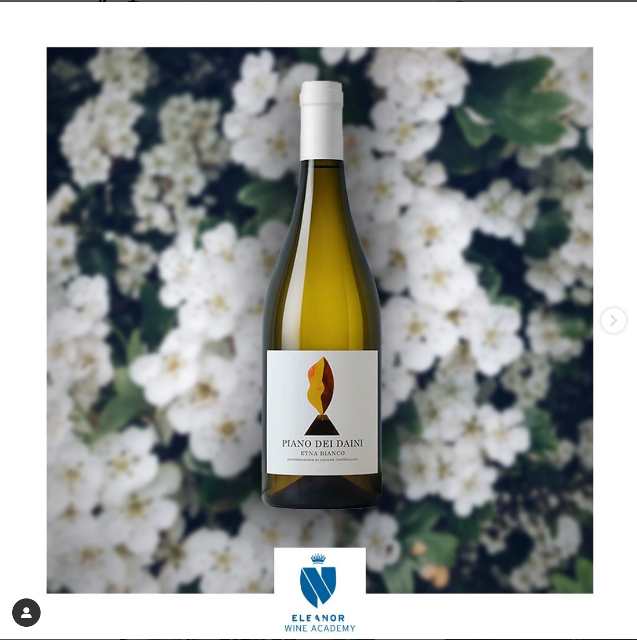 💎HIDDEN GEMS💎 Etna Bianco Piano dei Daini Tenute Bosco 2019 – Eleanor ...