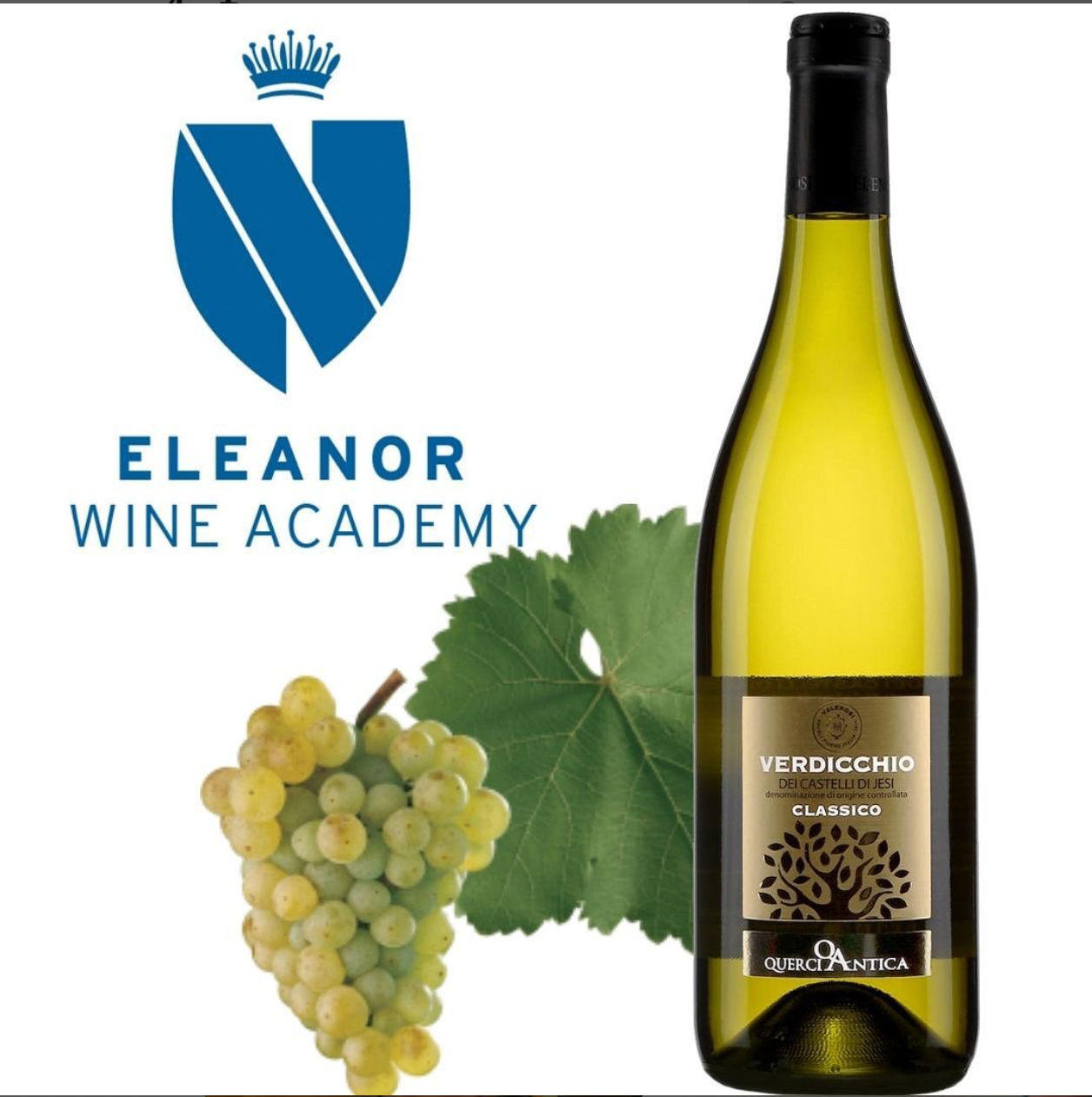 GRAPE VARIETY: Verdicchio! – Eleanor Wine Academy