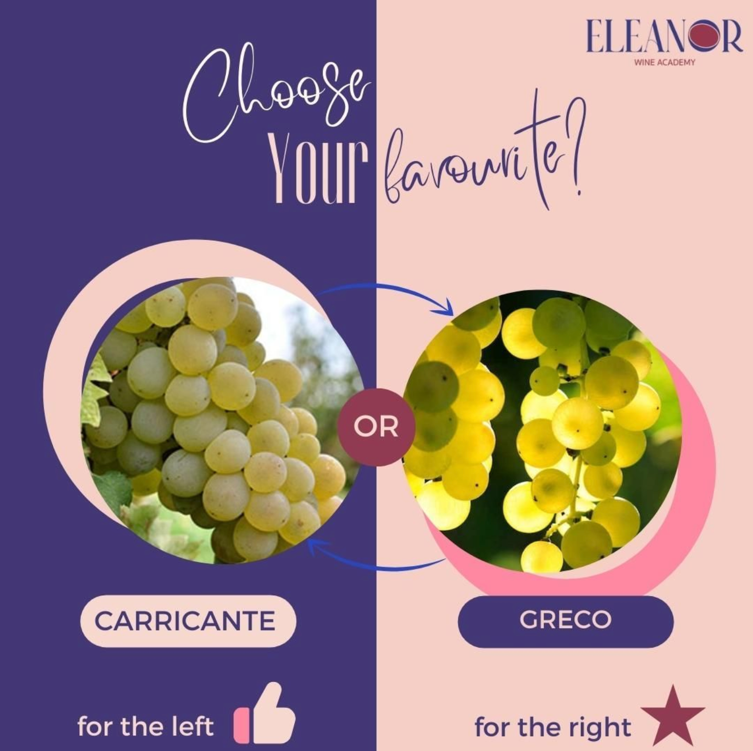 🍷 Wine Lovers! Carricante or Greco? Join Italian Wine Scholar Courses ...