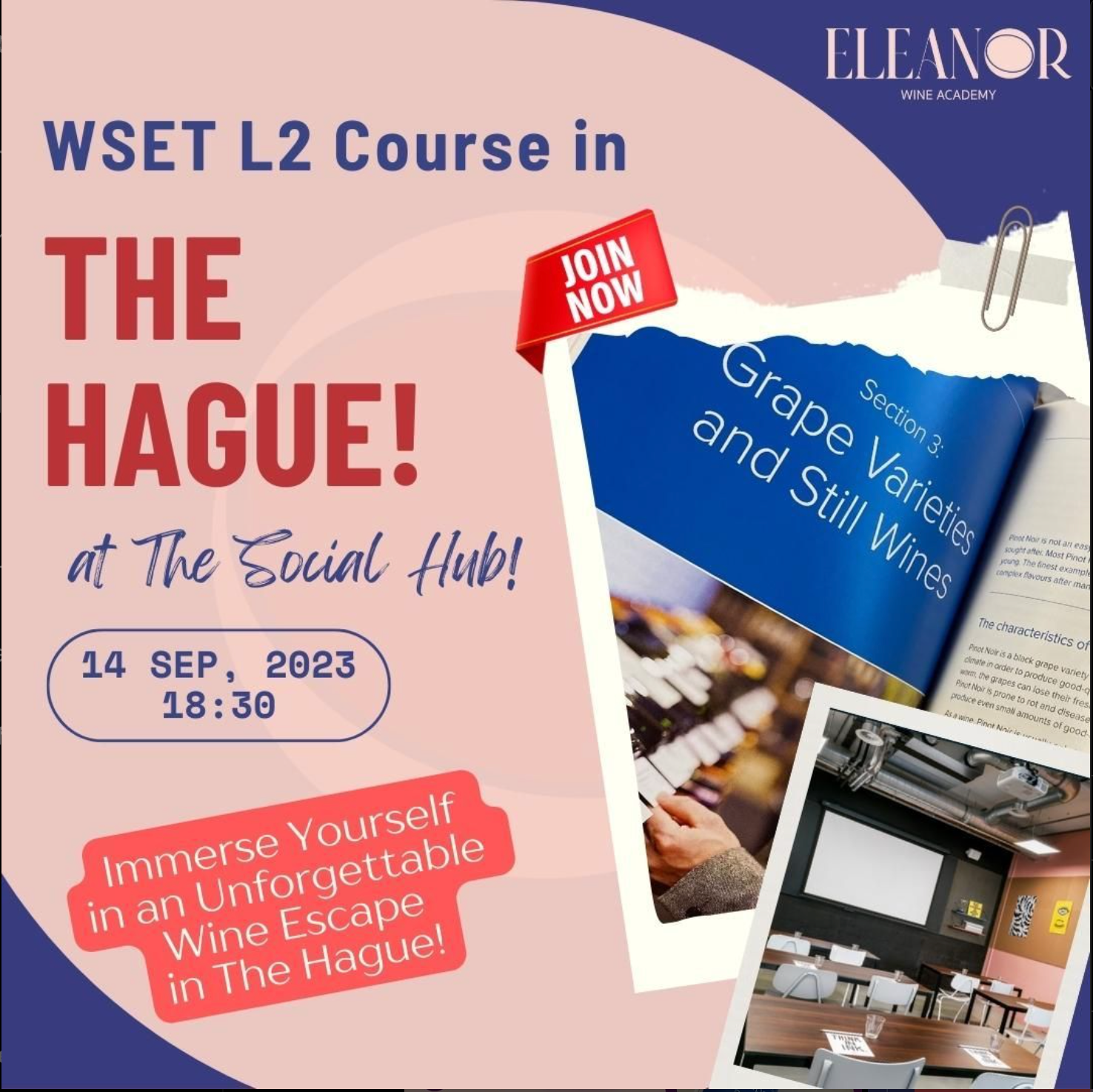 WSET L2 Course in The Hague's Vibrant Social Hub! – Eleanor Wine Academy