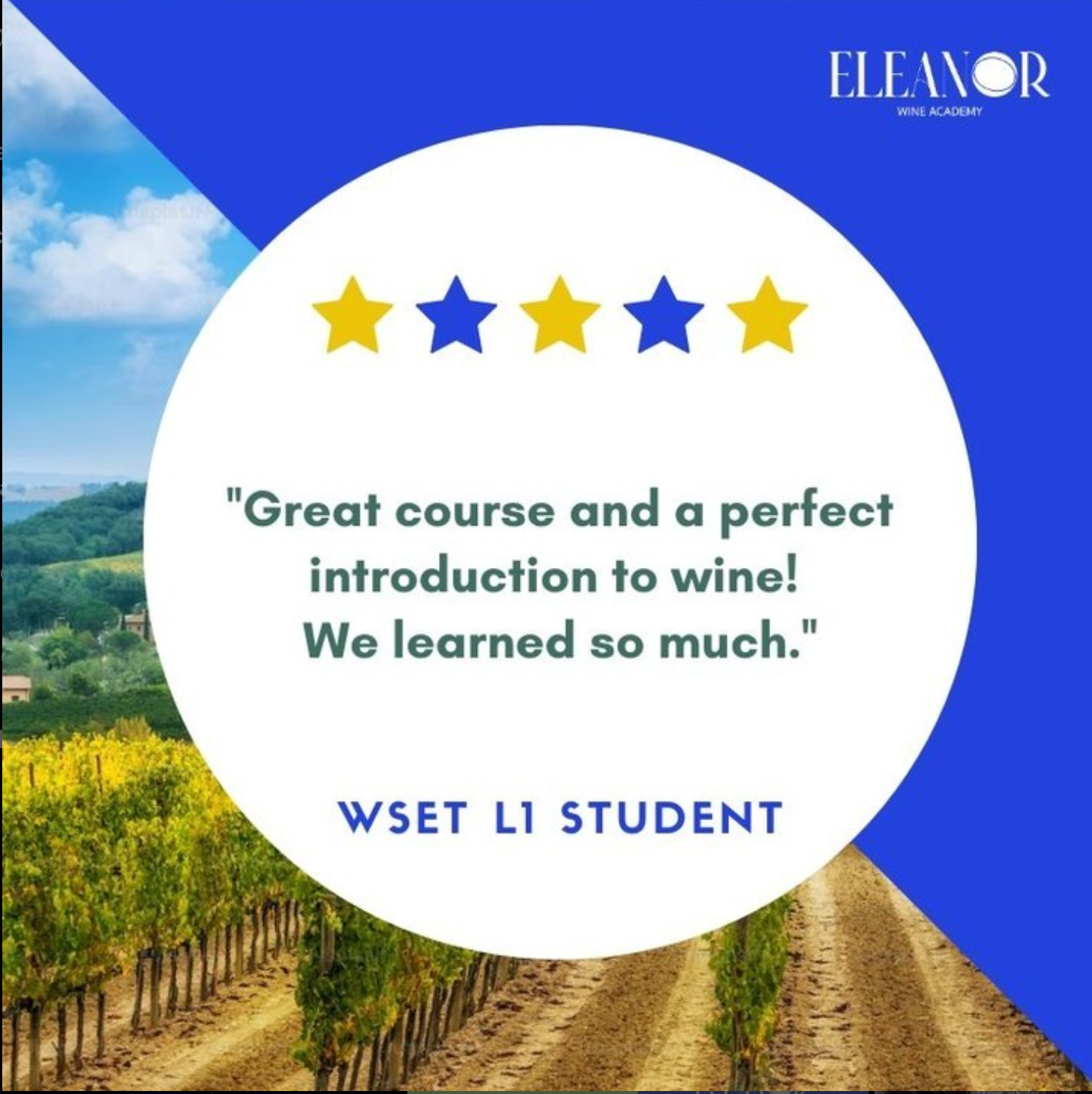 Join Our WSET Level 1 Wine Adventure: Perfect Introduction to Wine ...