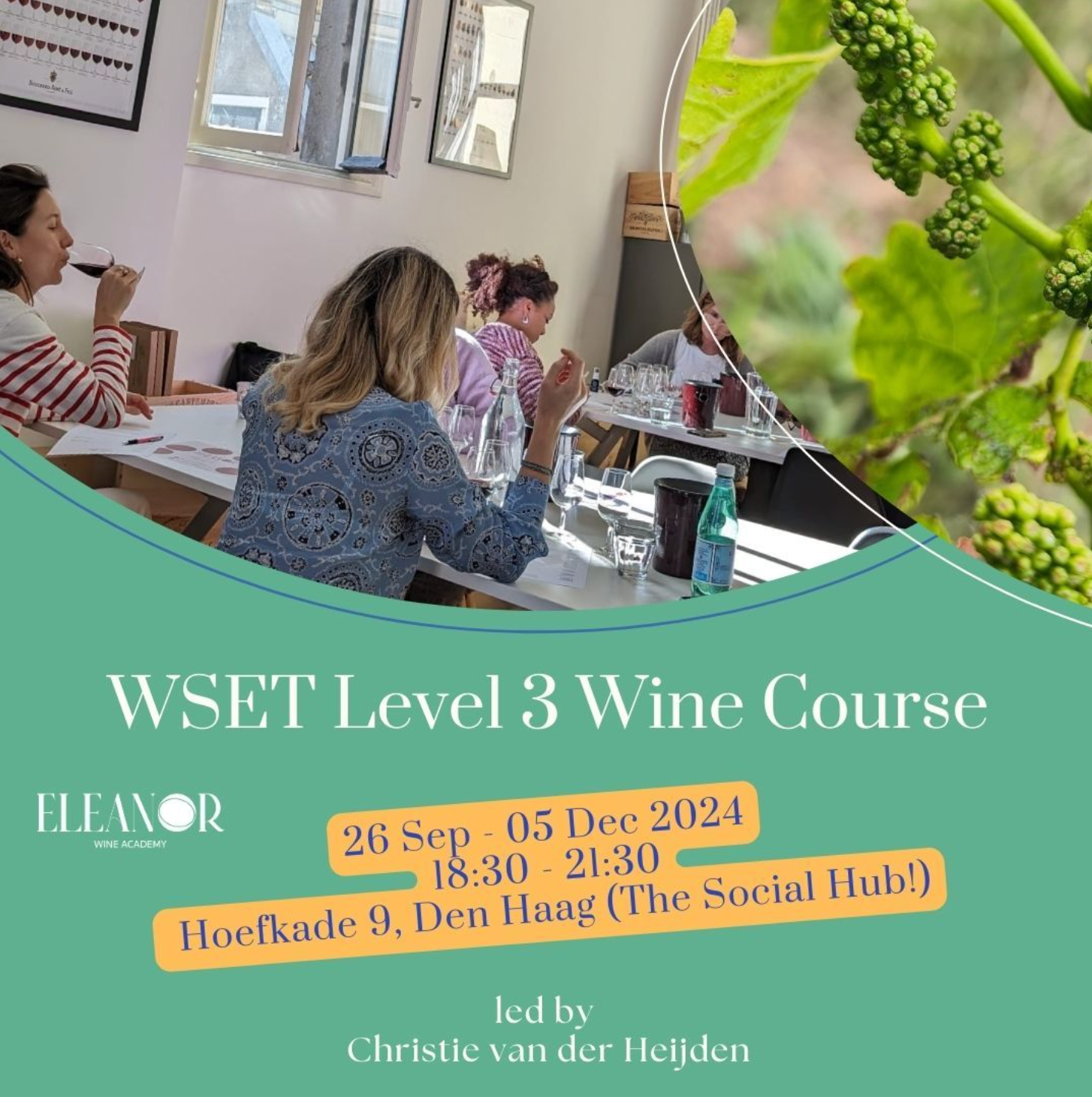 Advance Your Wine Knowledge with WSET Level 3 in The Hague | Join ...