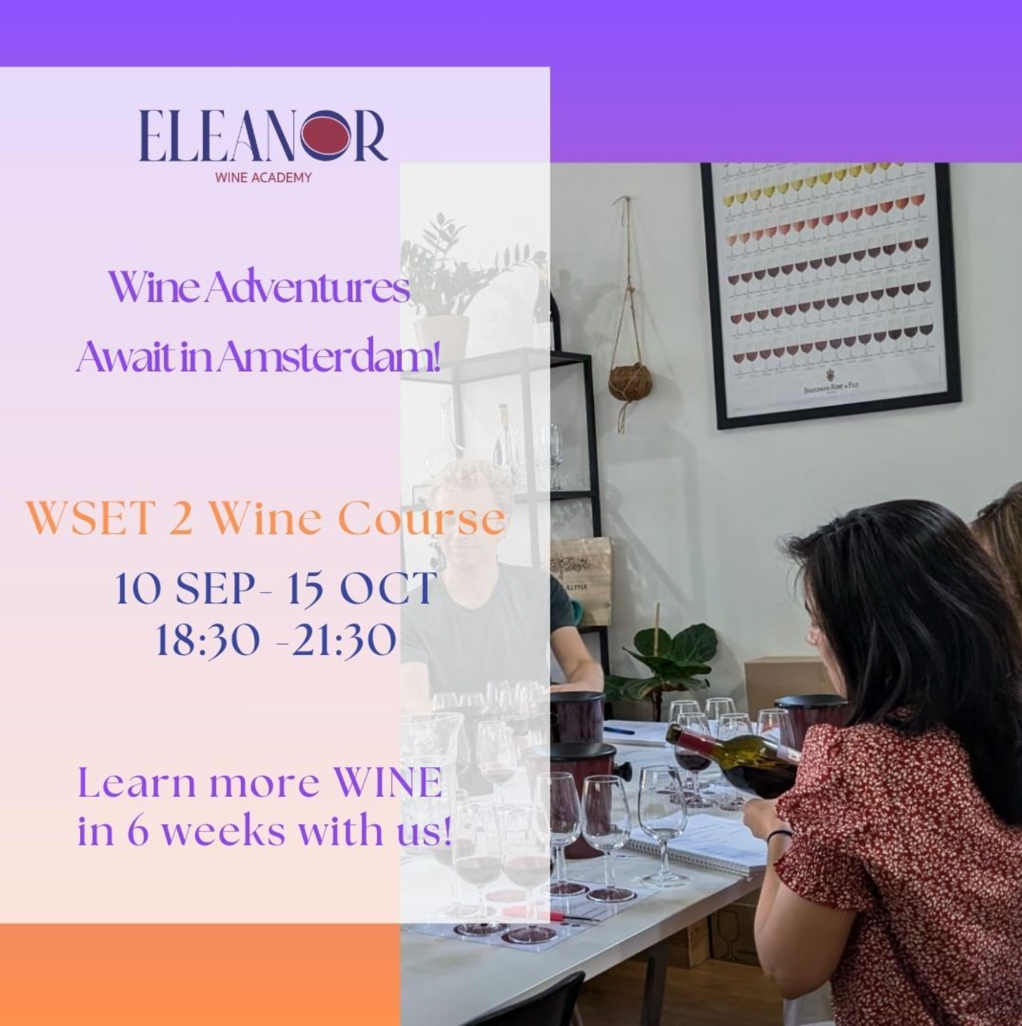 Join the WSET Level 2 Wine Course in Amsterdam | Elevate Your Wine ...