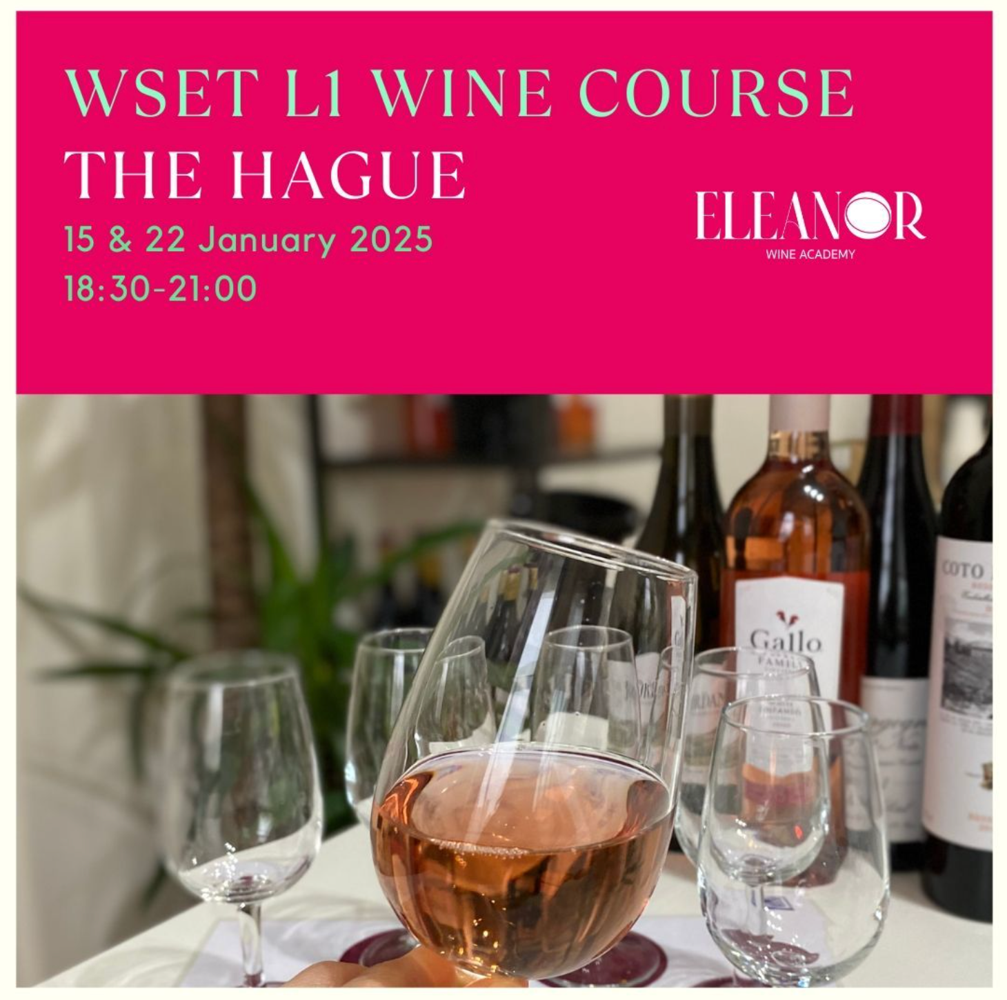 Kickstart Your Wine Journey | WSET Level 1 Course in The Hague ...
