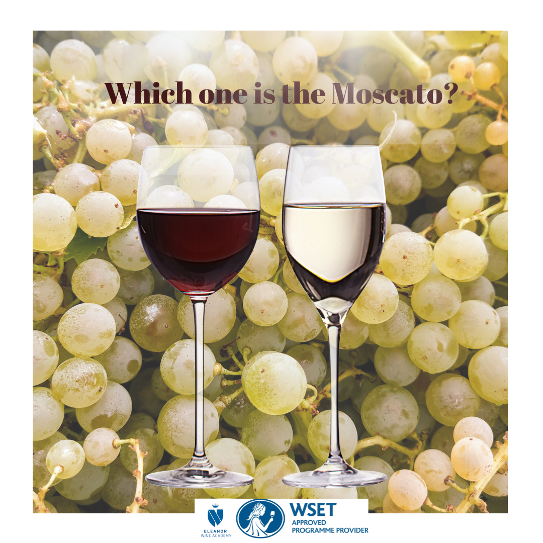 Muscat/Moscato wines: All whites? – Eleanor Wine Academy